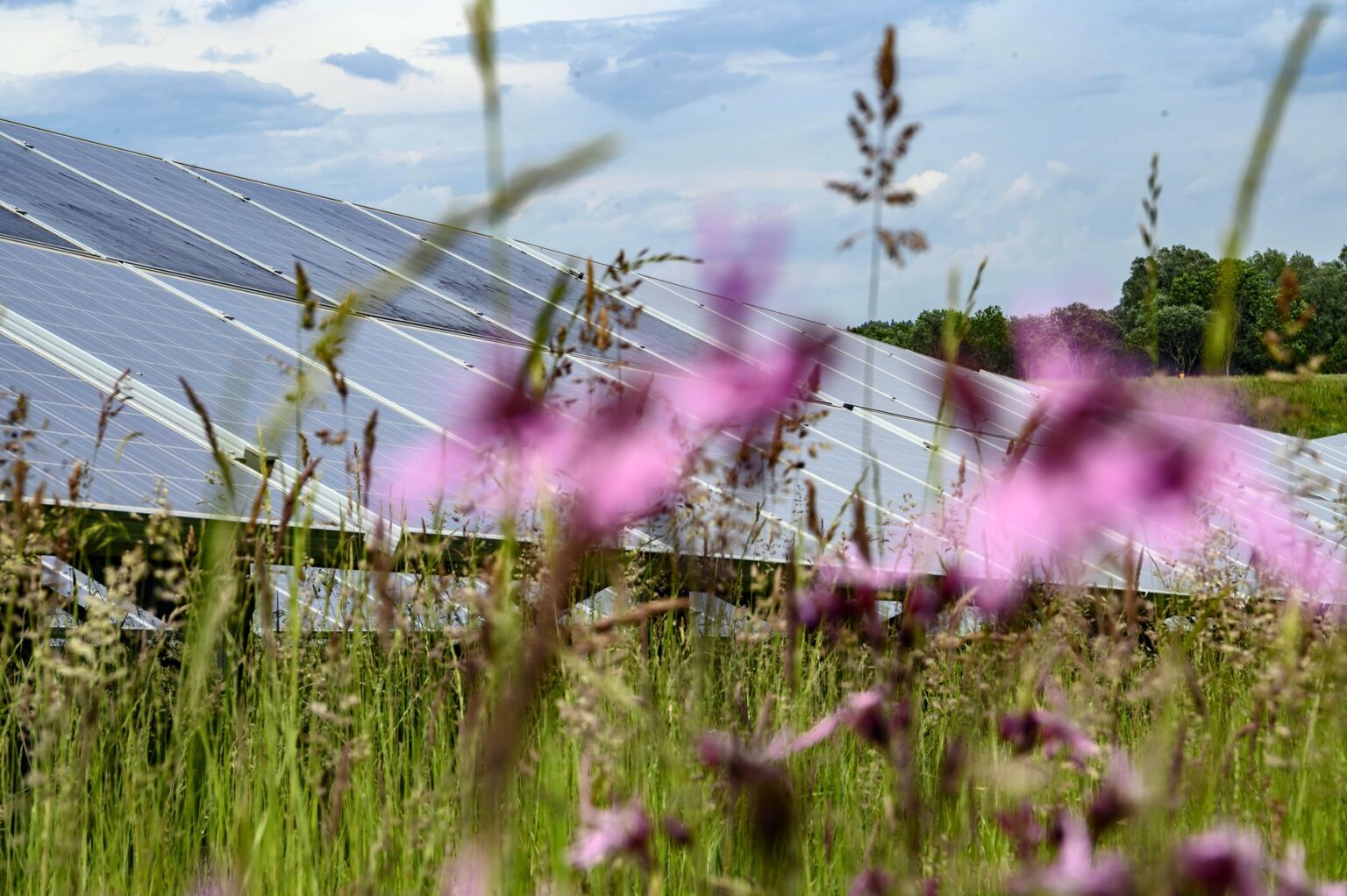 Analyse zeigt: Verteilnetzbetreiber erzielen zweistellige Renditen auf ...